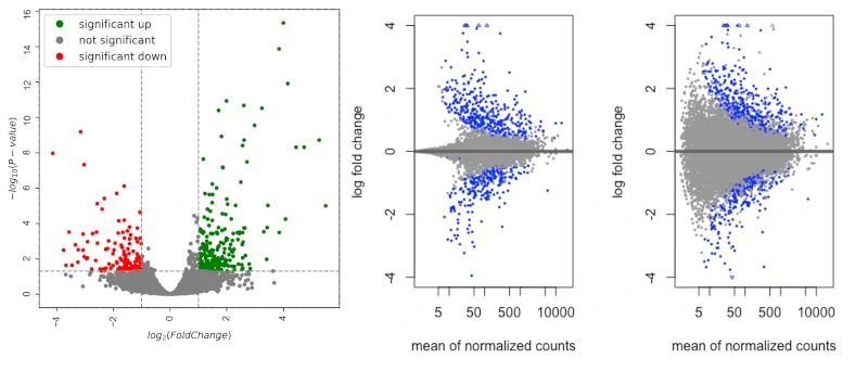 Differential Gene Expression Analysis Using Deseq2 Comprehensive
