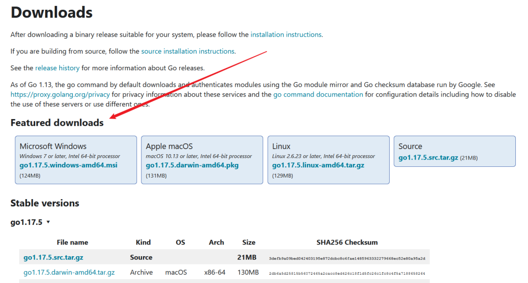 Golang图片码+压缩伪装+远程调用组合拳_loadergo-CSDN博客