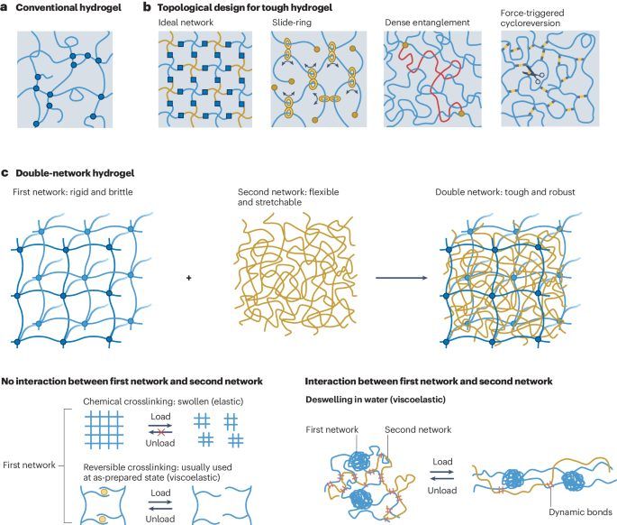 水凝胶最新Nature Reviews Materials-CSDN博客