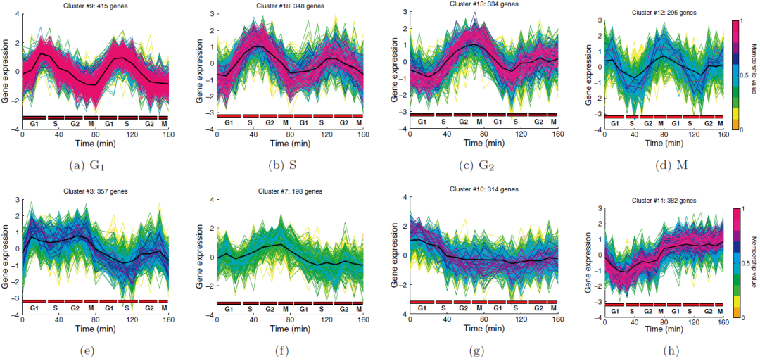 使用Mfuzz包进行基因表达的时间趋势分析并划分聚类群-CSDN博客