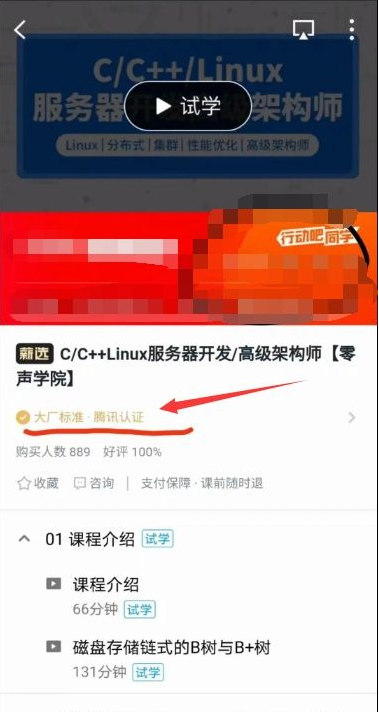 Linux C C 服务器 后端开发 后台开发学习路线 C 部署网易云后端 Csdn博客