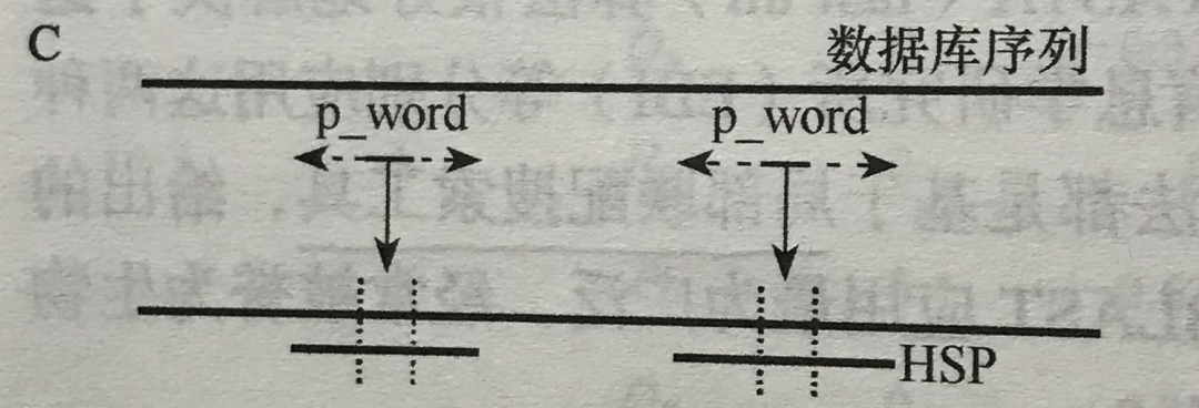 【BLAST算法原理】什么是K串？什么是HSP？什么是E值？_hsp 分数-CSDN博客