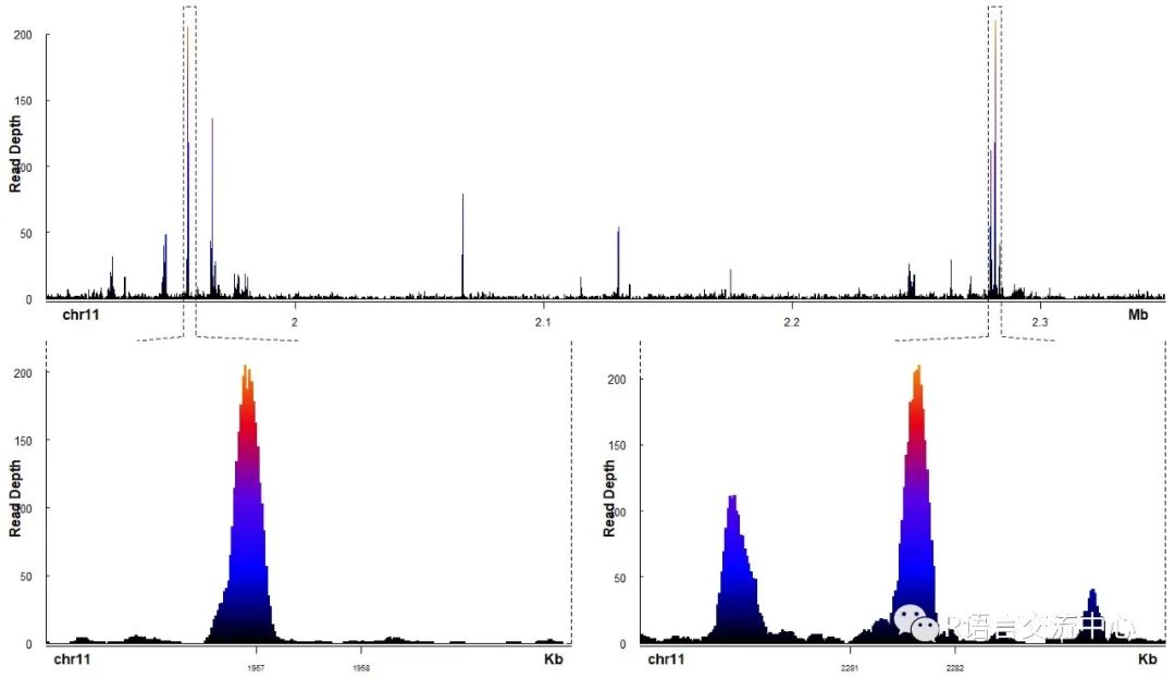 r语言结构方程模型可视化_R语言实现基因组的可视化-CSDN博客