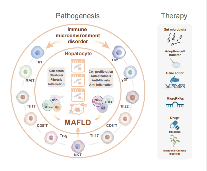 iMeta期刊第2卷第1期正式发布：包括来自13个国家的21篇文章-CSDN博客