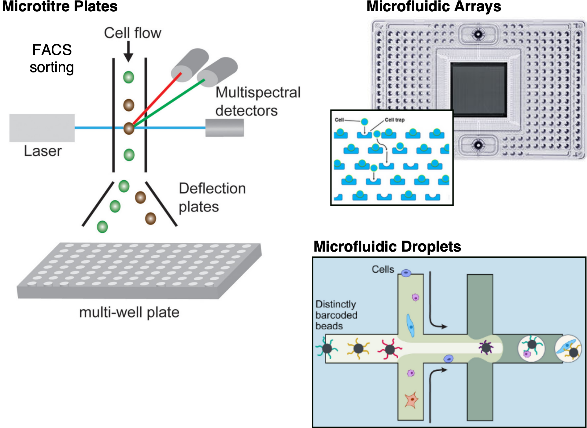 单细胞RNA-seq简介_bulk rna-seq-CSDN博客