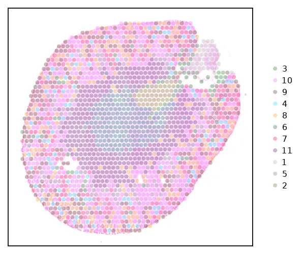 10X空间转录组Visium && HD && Xenium分析全更新_10x visium和hd的区别-CSDN博客