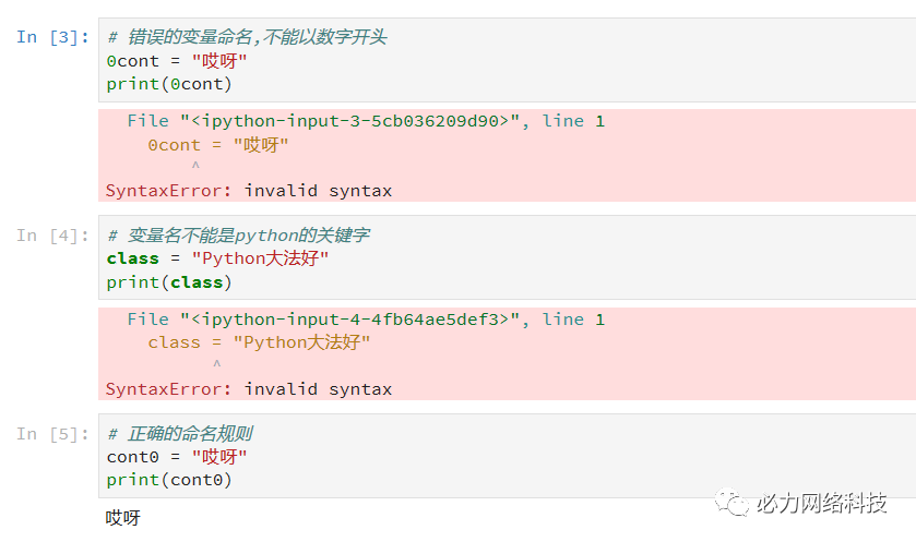 Python中表示偶数python入门基础 Csdn博客
