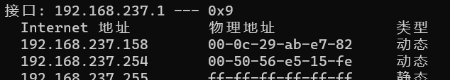ARP协议及raw socket复现ARP断网攻击_socket arp-CSDN博客