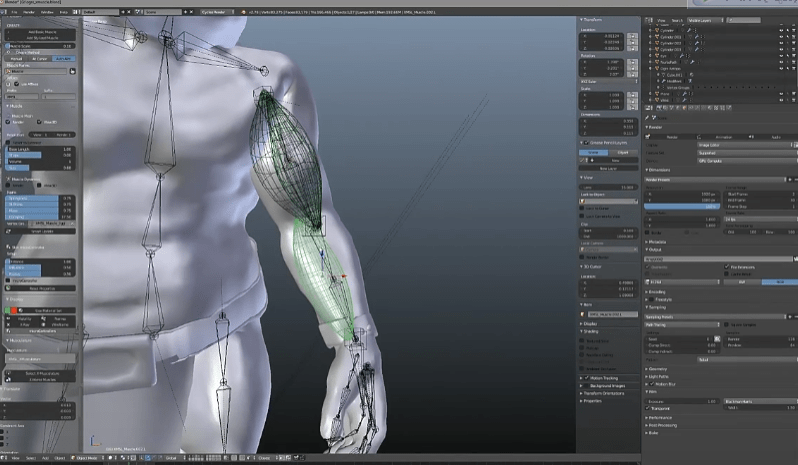Blender插件-肌肉系统模拟工具 X-Muscle System 3.0-CSDN博客