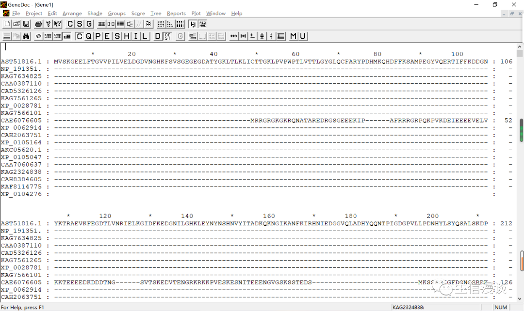 生信漫谈如何做出美美的多序列比对图_genedoc怎么导出图片-CSDN博客