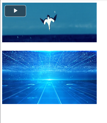 Videojs使用常用方法110行demovideojs官网 Csdn博客 