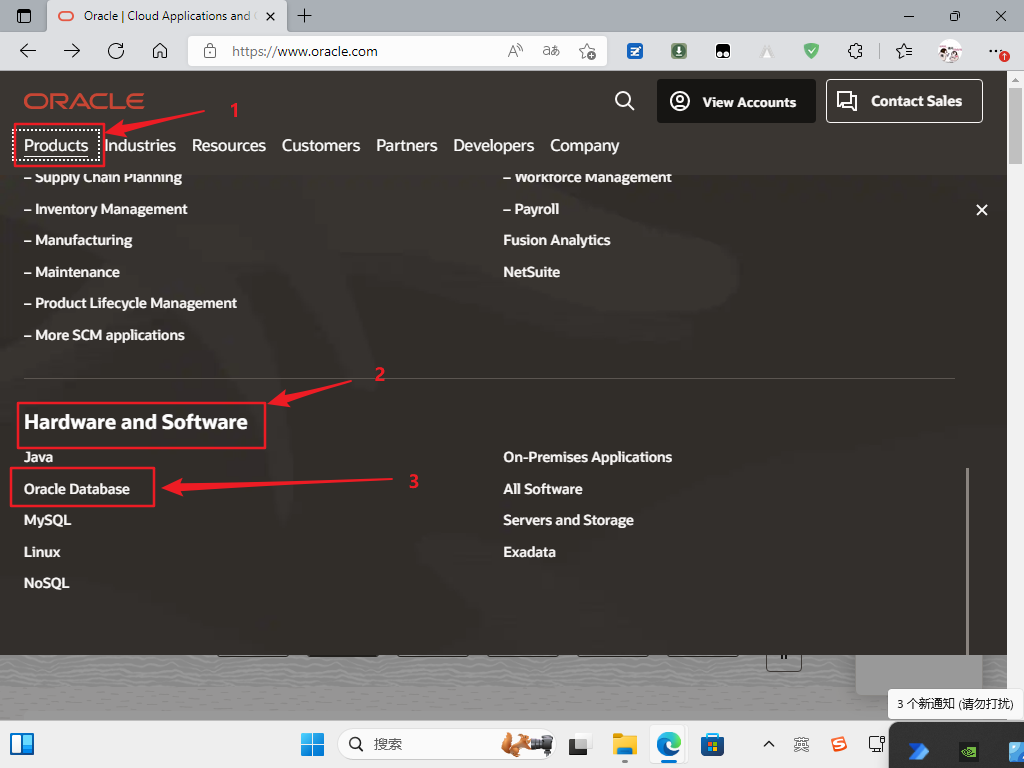 【Oracle学习笔记_01】Win11虚拟机安装Oracle 19c（保姆教程）_oracle19c安装教程-CSDN博客