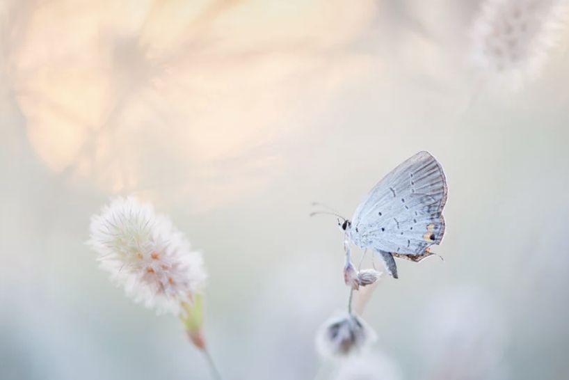 模型评估指标AUC和ROC，这是我看到的最透彻的讲解-CSDN博客