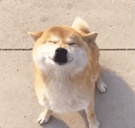 华为专利收入超过支出/ 拼多多海外版下载火爆/ 百度计划增投200台无人车... 今日更多新鲜事在此...-CSDN博客