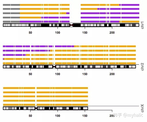 在线画图工具_画最美染色体，就要用这个新工具 | 今天被CRAN接收-CSDN博客