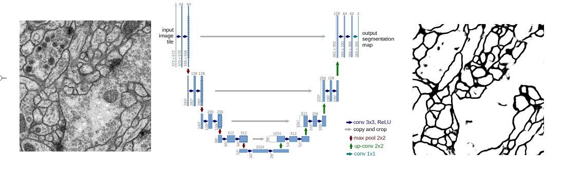 unet图像分割_200229 UNet 分割网络搭建、训练和推理 (Keras+OpenVino+TfLite)-CSDN博客