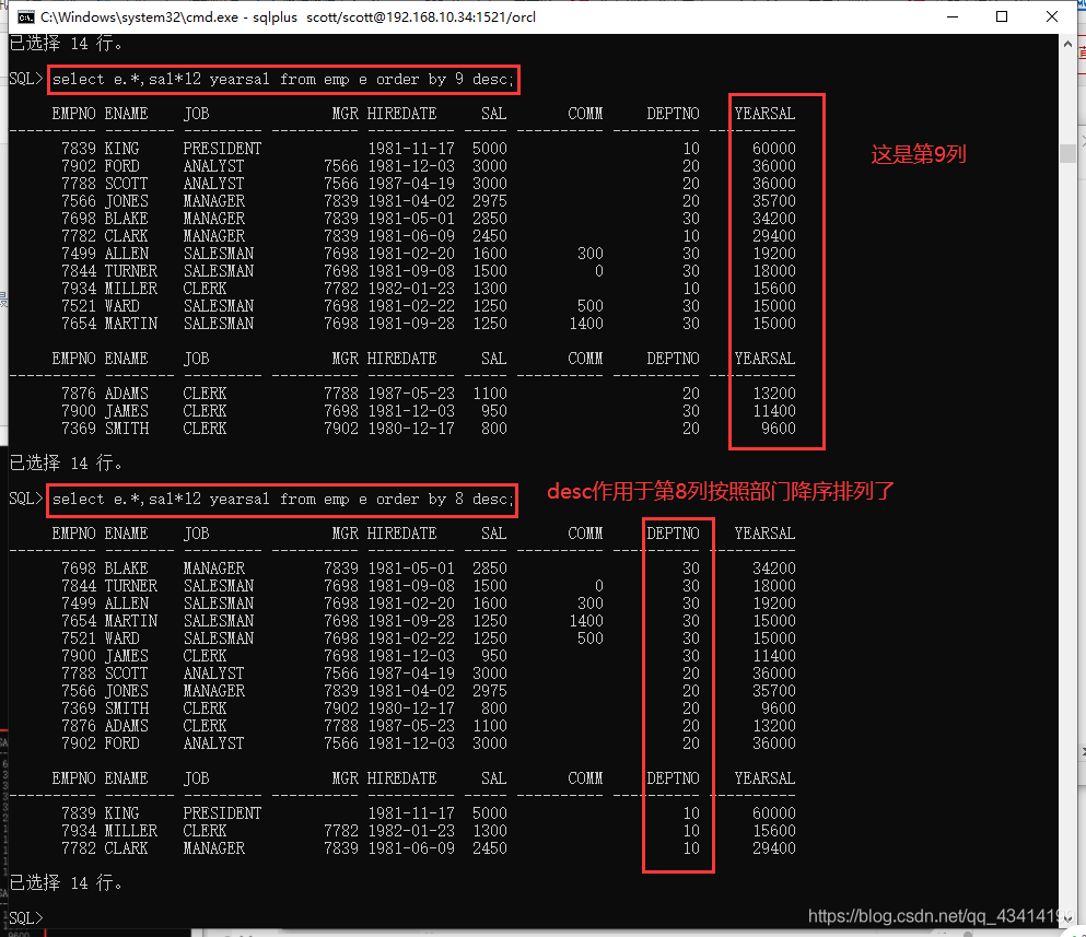 mysql set linesize_Oracle的基本查询、过滤和排序查询-day02-CSDN博客