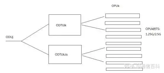 光传送网OTN的速率解析_otn100g帧结构-CSDN博客