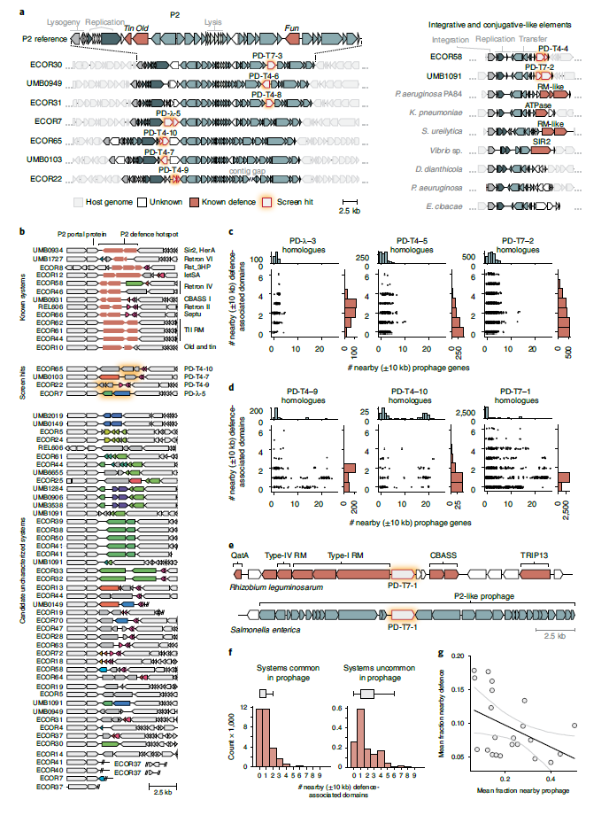 Nat. Microbiol. | 功能选择揭示大肠杆菌泛基因组中未被发现的抗噬菌体防御系统...-CSDN博客