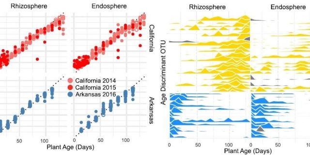 predict函数 R_R包randomForest的随机森林回归模型以及对重要变量的选择-CSDN博客