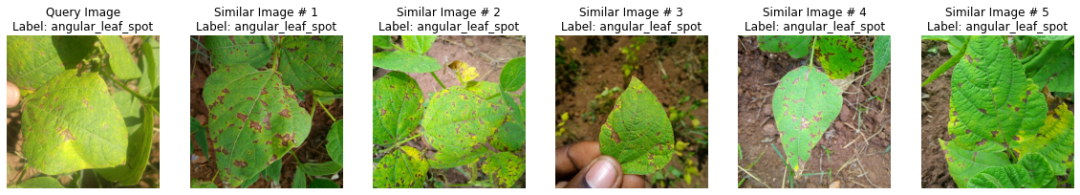 基于 Hugging Face Datasets 和 Transformers 的图像相似性搜索-CSDN博客