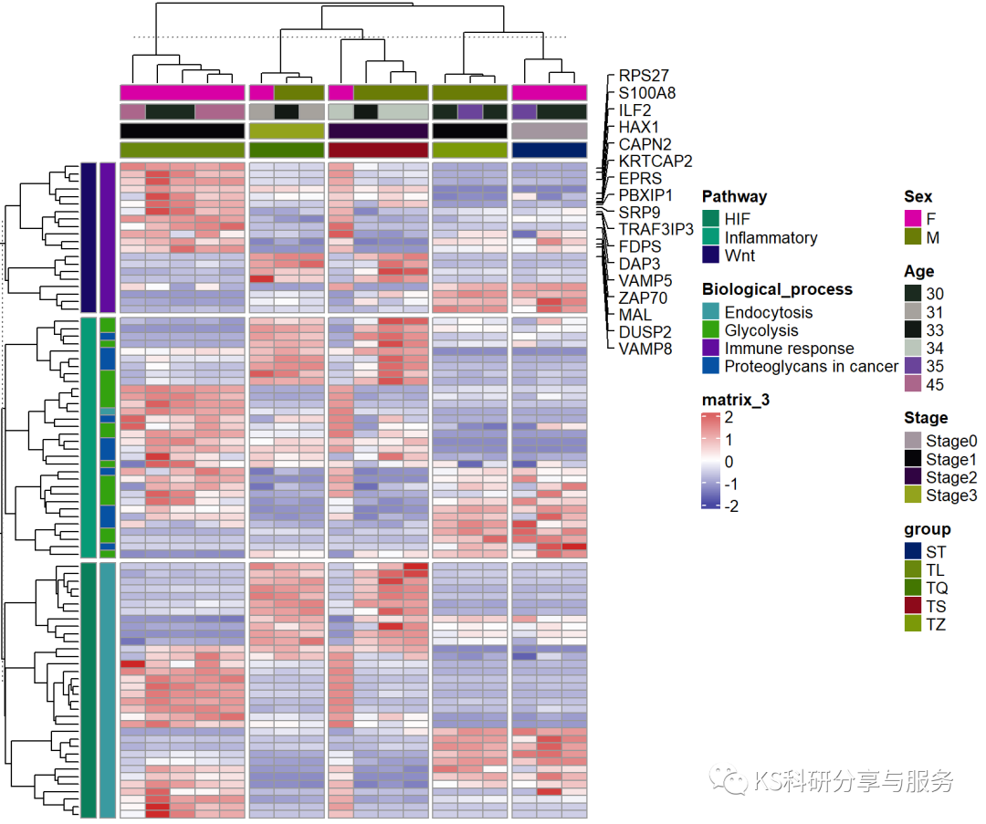 ComplexHeatmap画复杂热图行列注释_complexpheatmap-CSDN博客