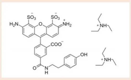 一种荧光染料，AF488-TSA，AlexaFluor488TSA，有重要的生理功能-CSDN博客
