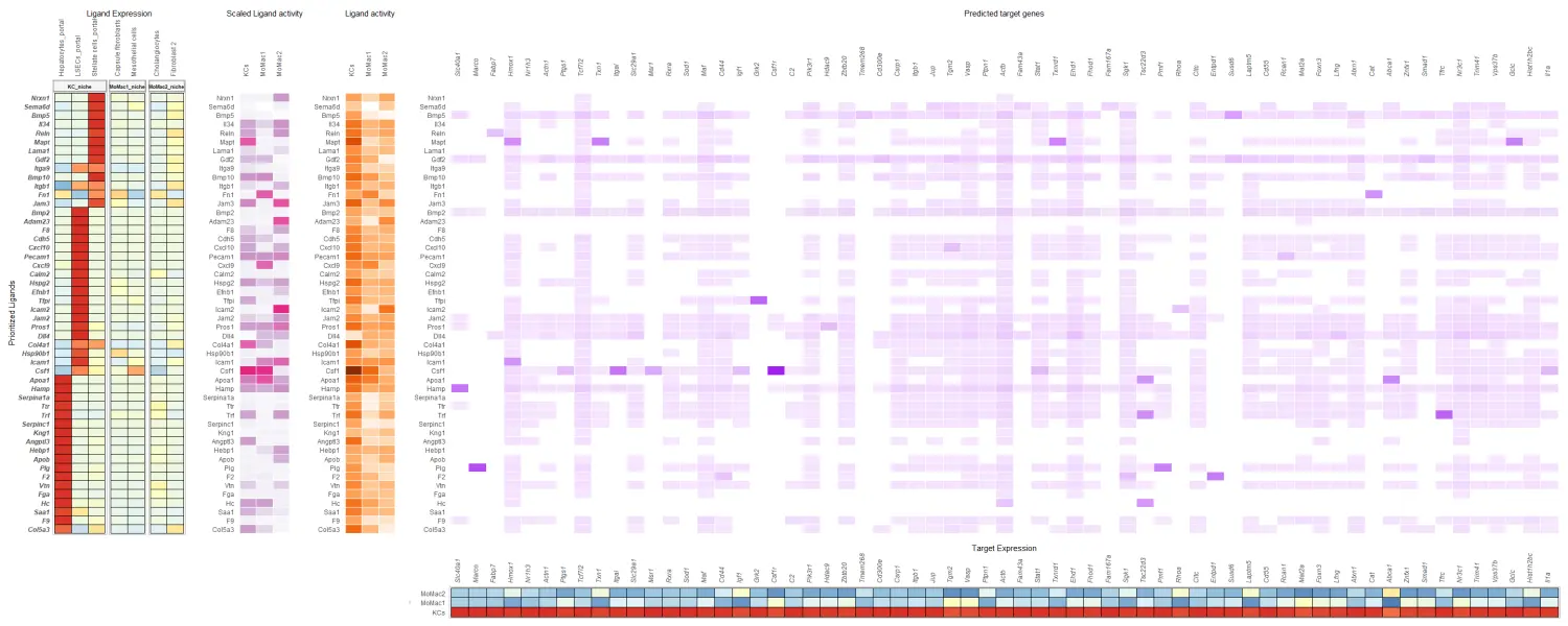 10X单细胞（10X空间转录组）通讯分析之总结Nichenet生态位通讯比较分析_nichenet空间转录组-CSDN博客