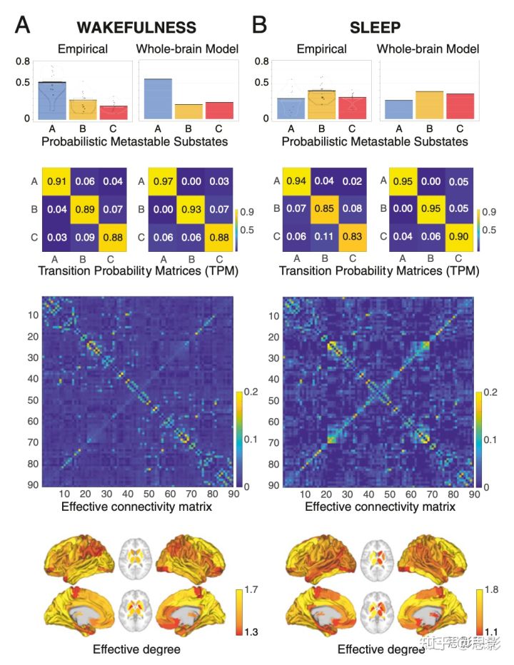 PNAS：复杂系统方法定义脑状态：外部刺激促使不同大脑状态之间的转换_aal 深部脑区-CSDN博客