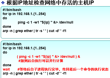 csh for循环_shell中的for循环用法详解_linux shell-CSDN博客