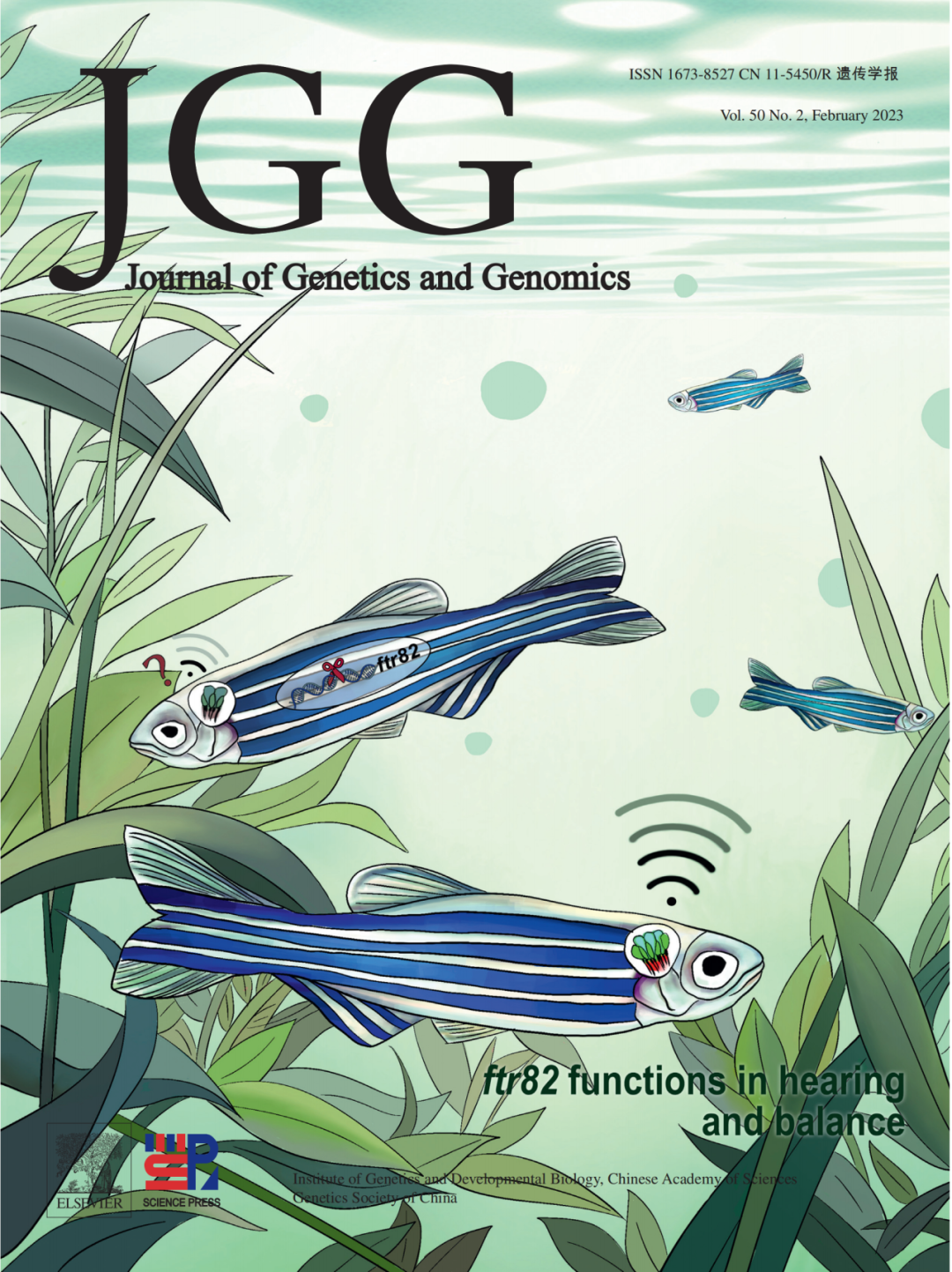 JGG｜中国科学院遗传发育所王国栋/白洋团队综述根部特异性代谢物介导的植物―微生物互作...-CSDN博客