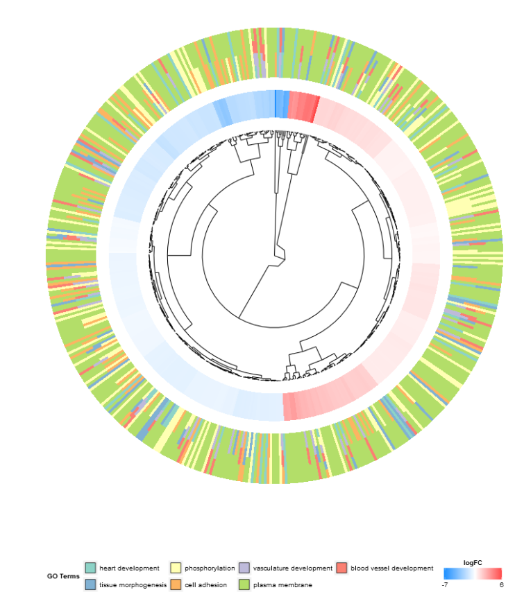 GOplot富集分析可视化_go cluster plots如何解读-CSDN博客