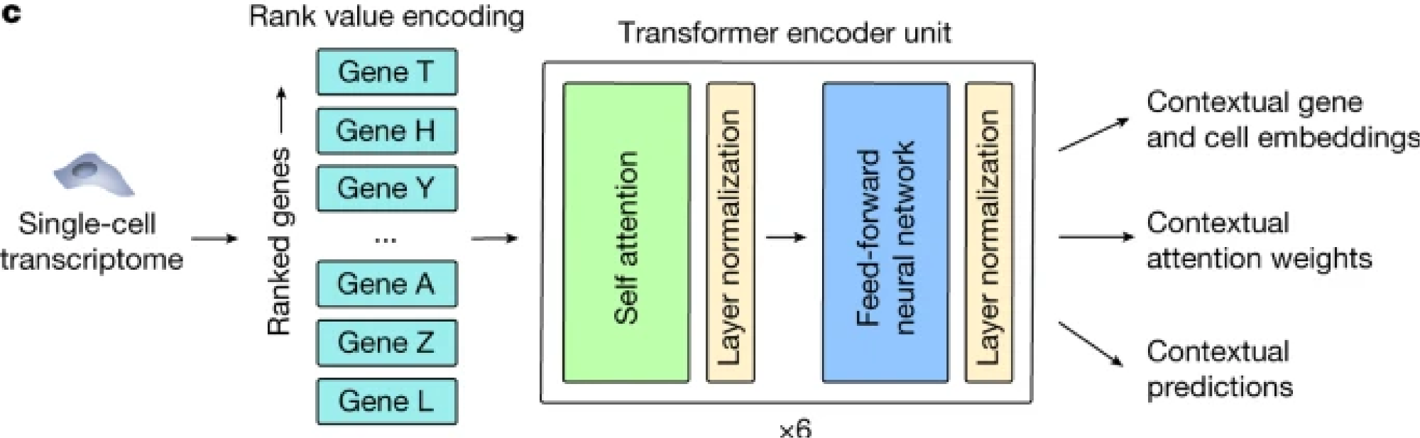 开源GPT？nanoGPT啃代码记实一。(内附nanoGPT续写的抽象派龙族)_看代码的gpt-CSDN博客
