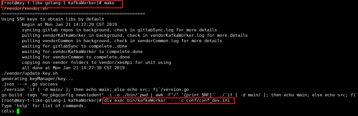 Delve调试指南_delve 安装-CSDN博客