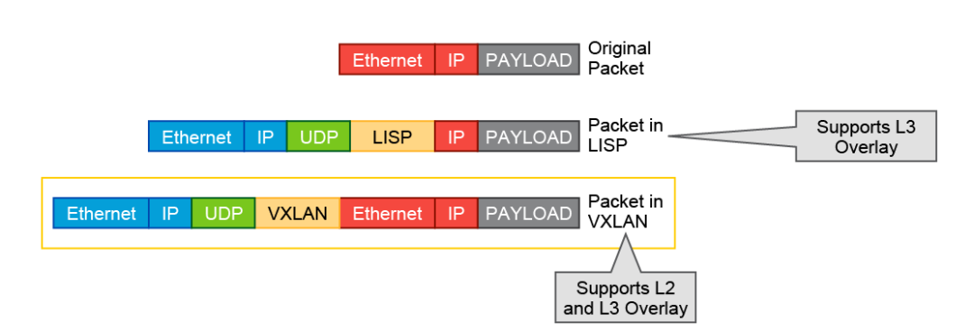 3层vni vxlan_EI CCIE企业基础架构技术基于VXLAN的Cisco SDAccess Fabric数据平面-CSDN博客