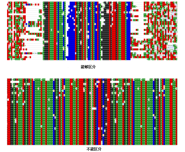 「基因组注释」MITE-Hunter鉴别基因组的MITE序列-CSDN博客