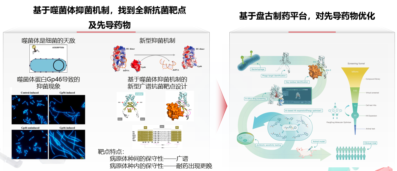 华为云盘古大模型辅助药物设计，西交大的新型抗生素研发之路_aidd大模型-CSDN博客