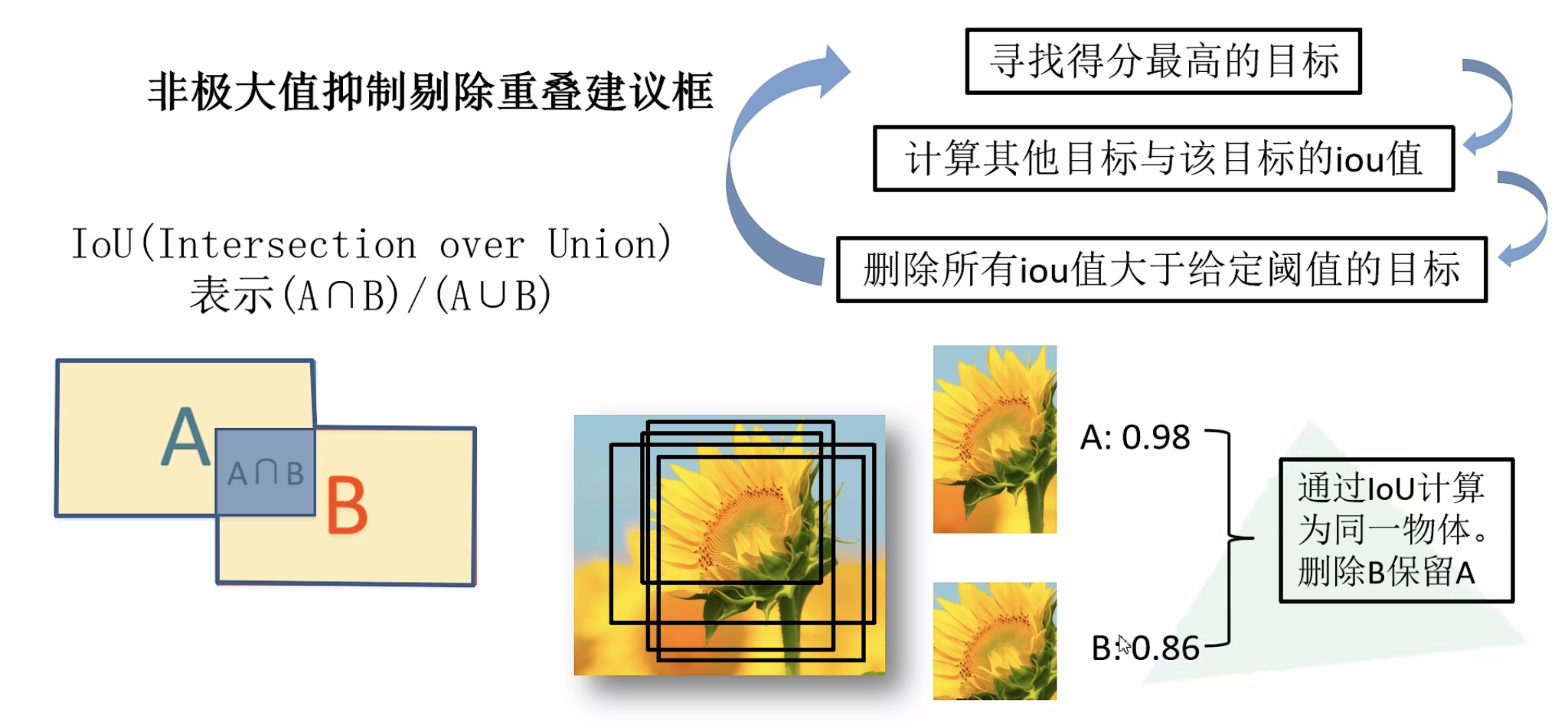 学习rcnn。day2-CSDN博客