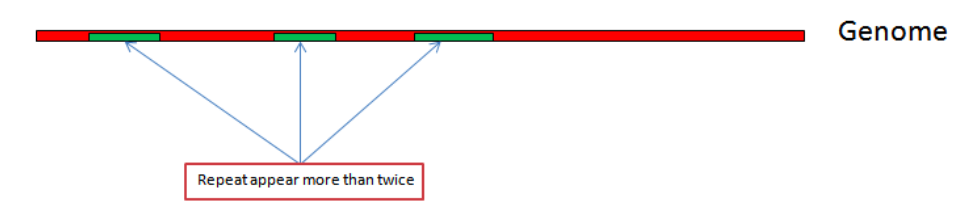 Kmer评估基因组-CSDN博客