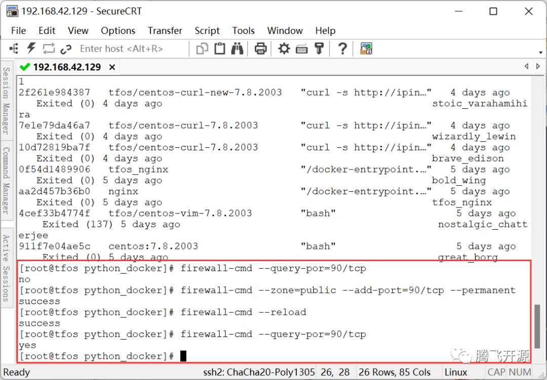 使用docker部署python网站docker搭建python网站 Csdn博客