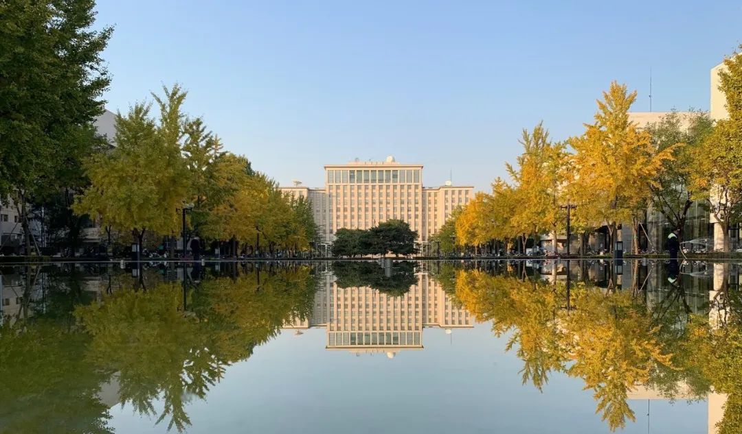 数说CS | 985院校专业前3才能入营？保研清华“贵系”到底有多难！_清华大学计算机直博-CSDN博客