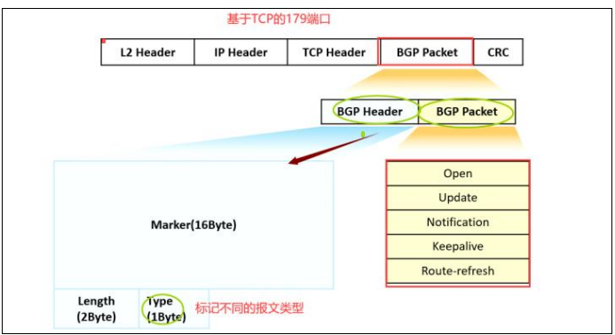 BGP路由（基础）_吃了吗您内528的博客-CSDN博客