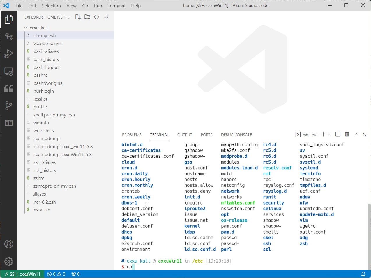 linux/wsl_检查已安装的软件包/ssh服务检查/利用windows端的vscode来编辑wsl_linux子系统中的文件/wsl ssh连接配置(kali-linux wsl)为例 ...