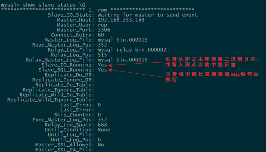 Mysql主从同步配置 Mysql 主从 Csdn博客