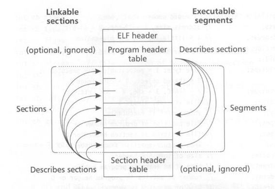 Linux 之 elf格式_linux elf的pc值-CSDN博客