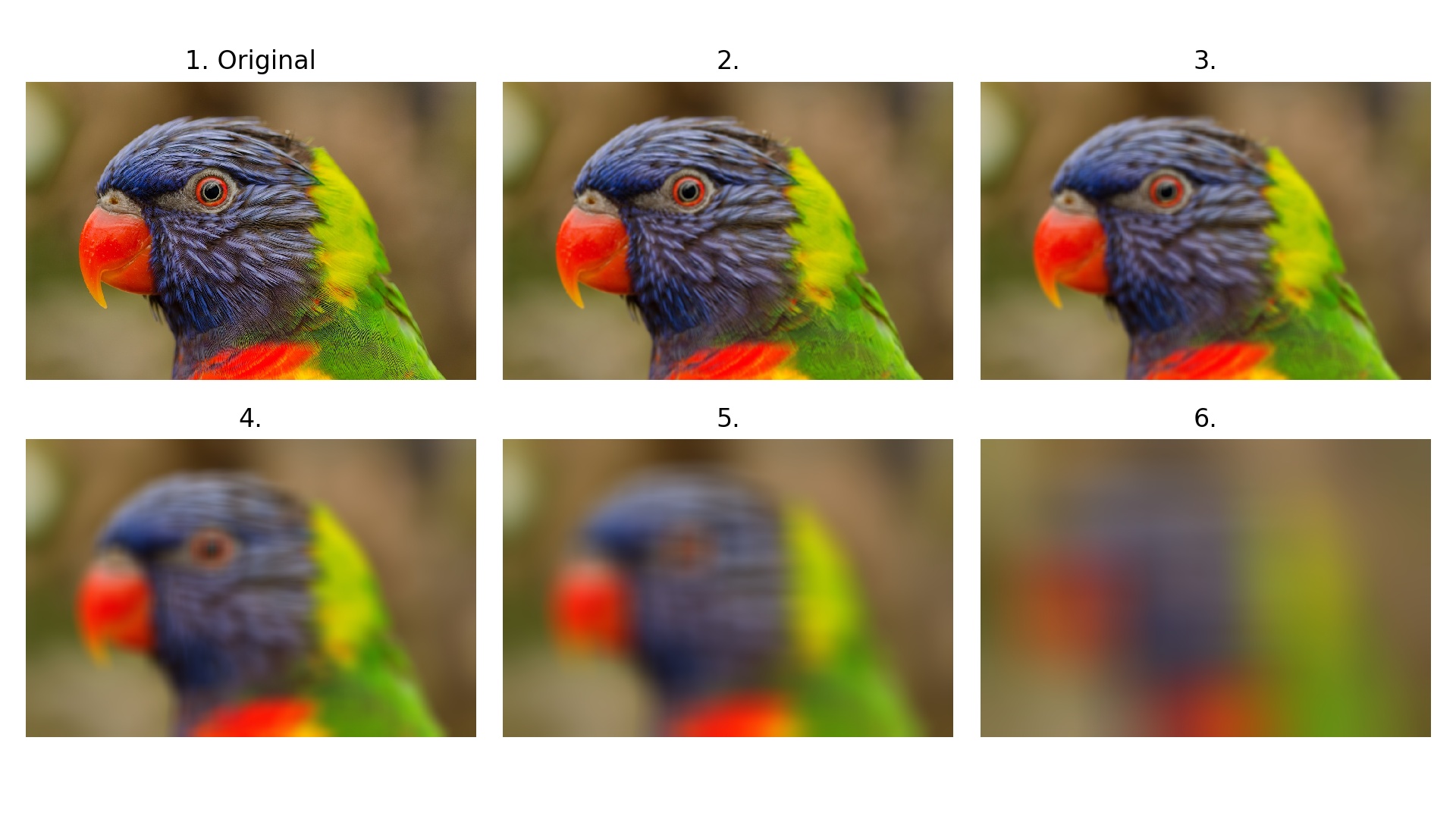 [深度学习系列]-Albumentations数据增强方法（可结合pytorch调用）_albumentations channeldropout-CSDN博客