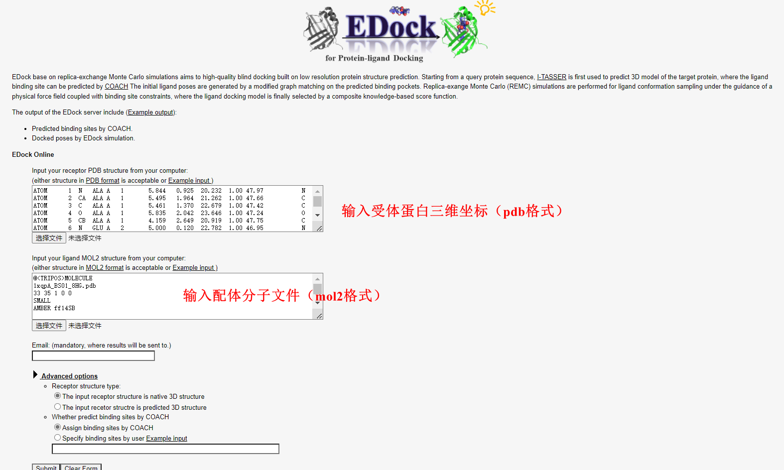 结构预测、功能注释、分子对接 —— 这个网站全包了_分子对接网站-CSDN博客