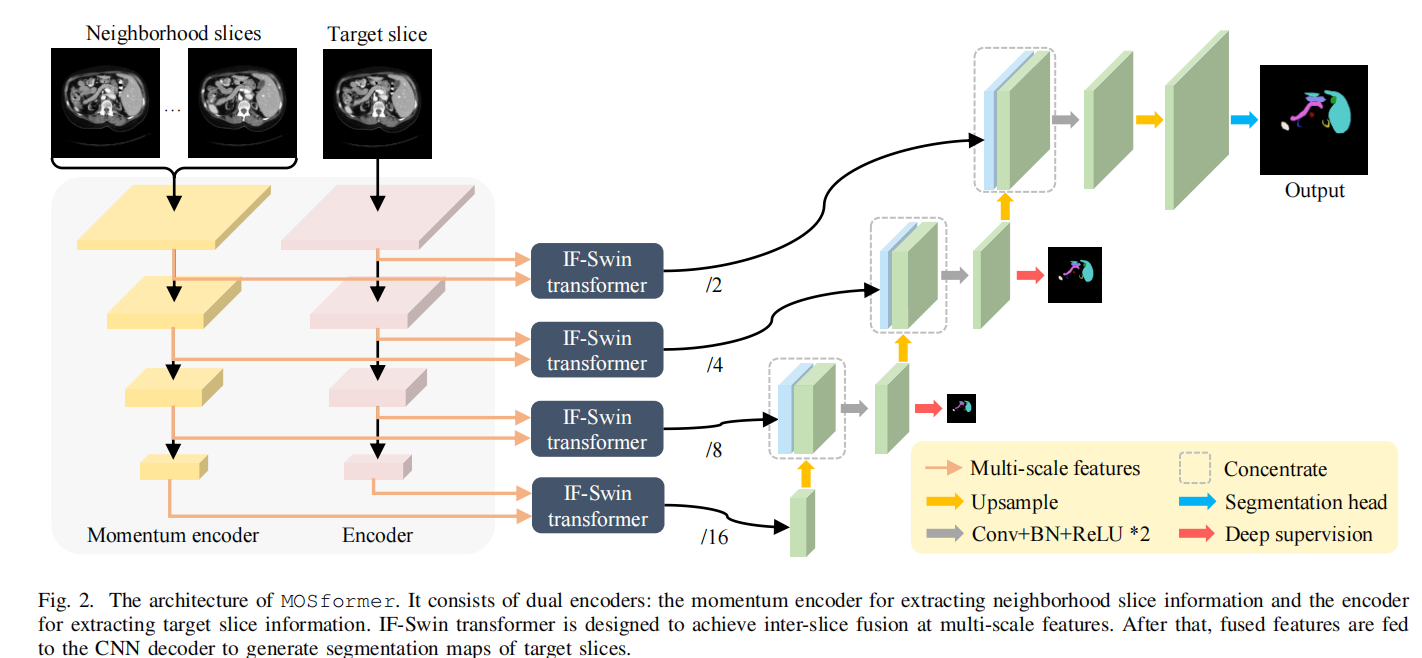 【论文阅读笔记】MOSformer: MOmentum Encoder-based Inter-Slice Fusion Transformer for Medical Image ...