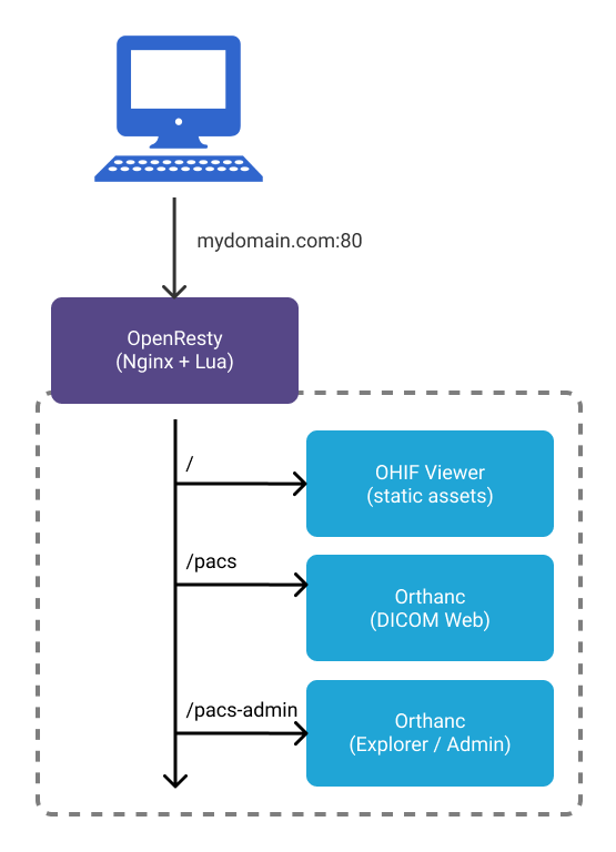 搭建DICOM医学影像系统(OHIF+Orthanc+Nginx)-CSDN博客